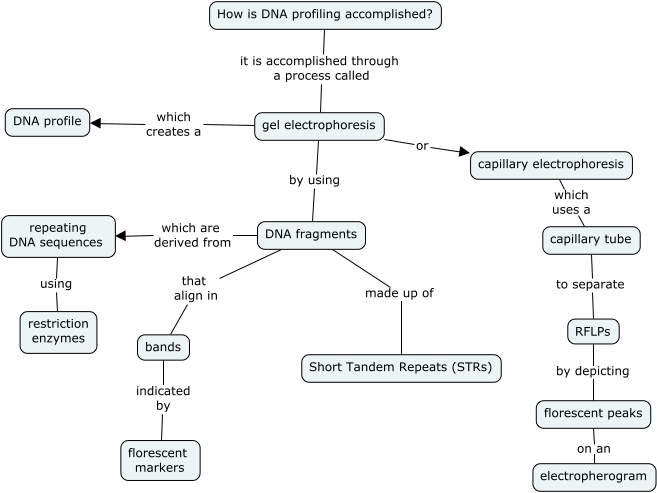 DNA Profiling